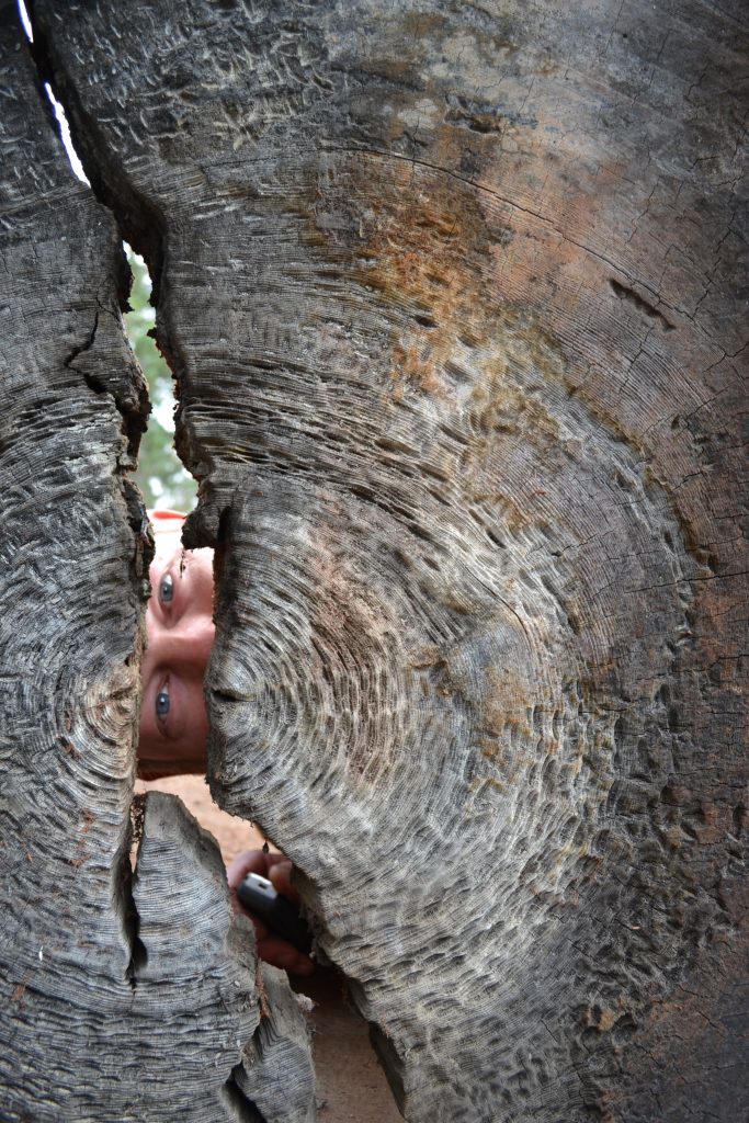 About Yorgen | Yorgen